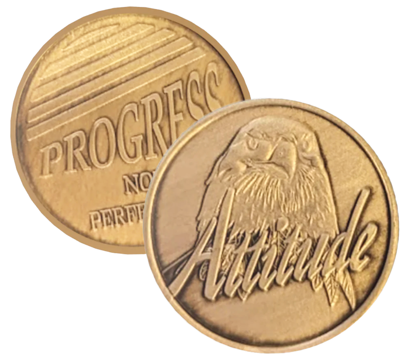 Chips/Coins/Tokens — Page 7 — MY RECOVERY STORE